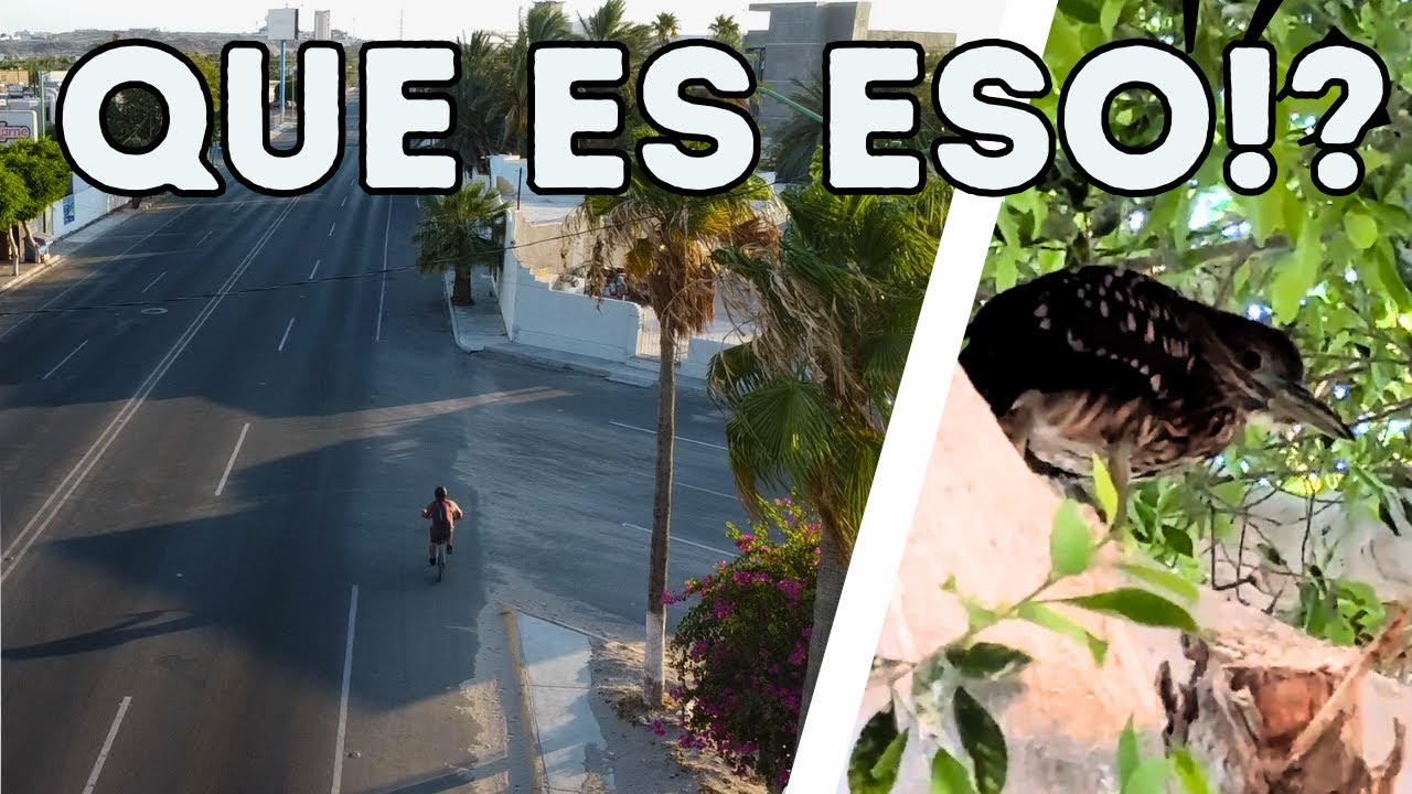 Una rodada diferente: ciudad, naturaleza y sueños en MTB 🚴🌳 - YouTube