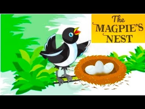 "The Magpie's Nest" Short english story - YouTube