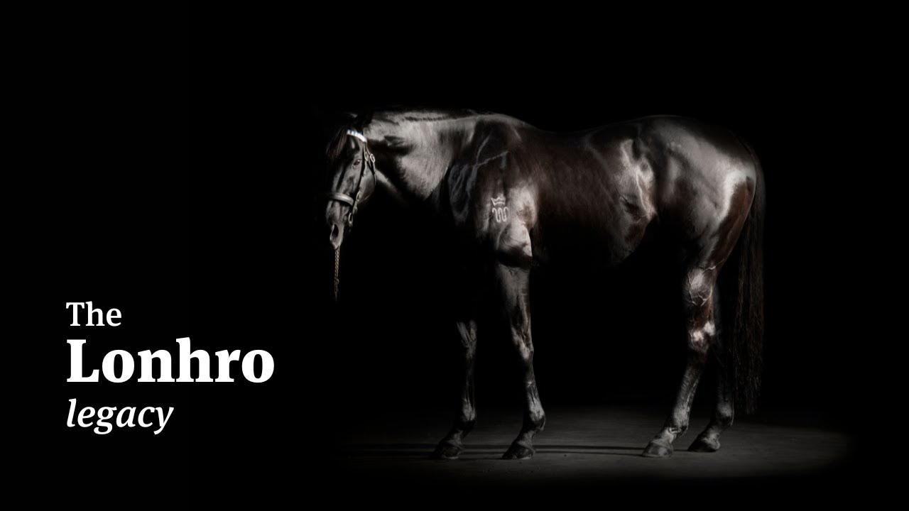 Lonhro retired from stallion duties - YouTube