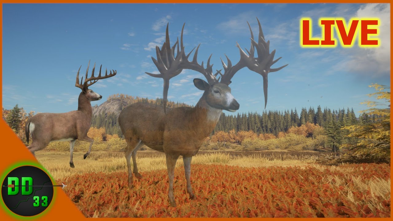 The Hunt For The NonTypical Buck Continues! LIVE 1080HD Call of the ...