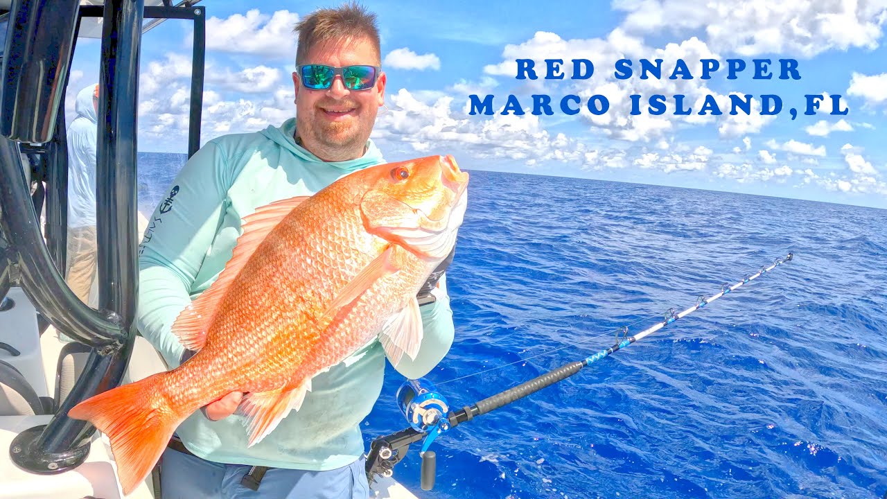 Full Limits of Red Snapper & Red Grouper in Stormy and Rough Conditions ...