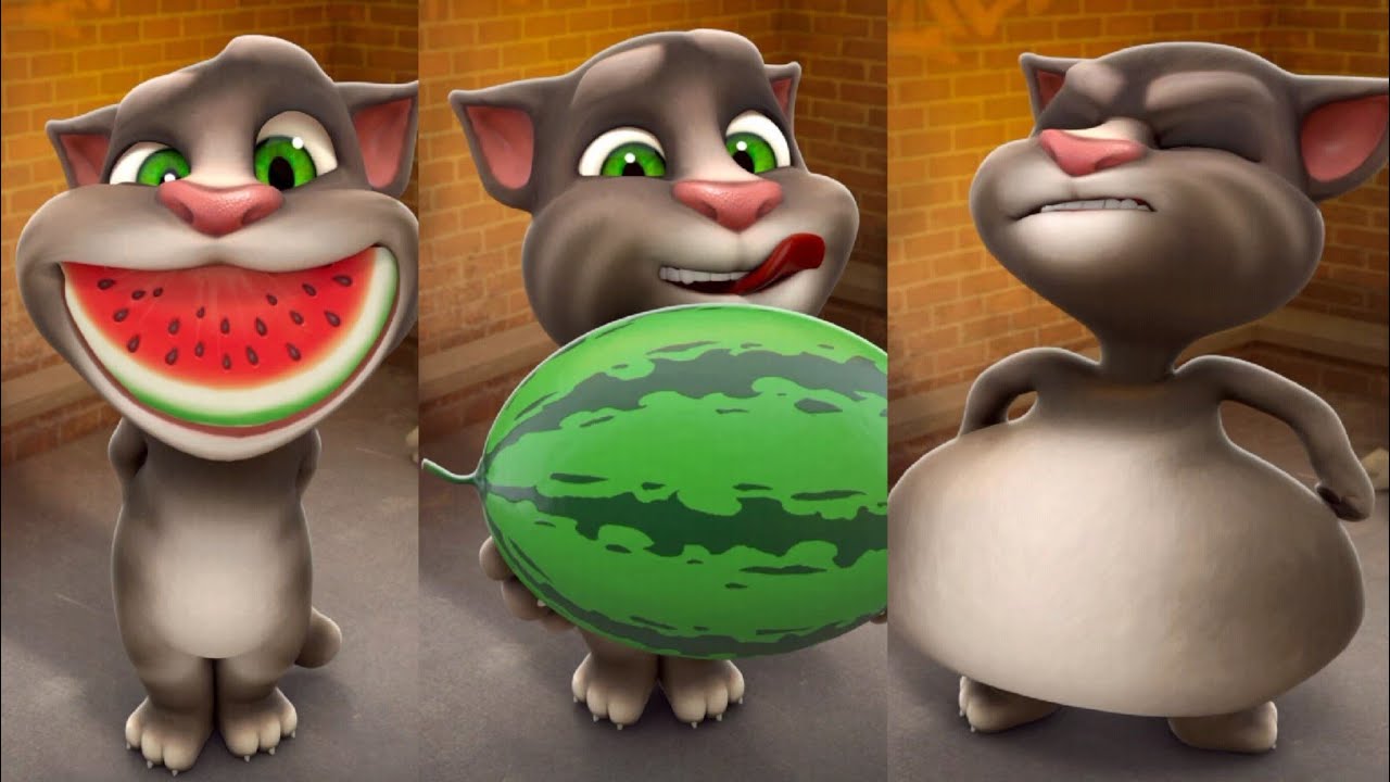 talking tom cat eating fruit and icecream 🍦🍨 cat cartoon video game ...