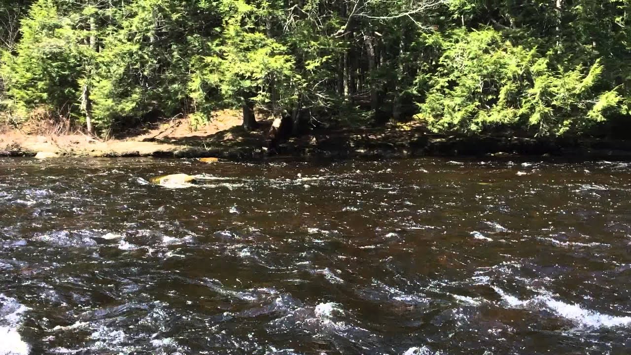 LaHave River - YouTube
