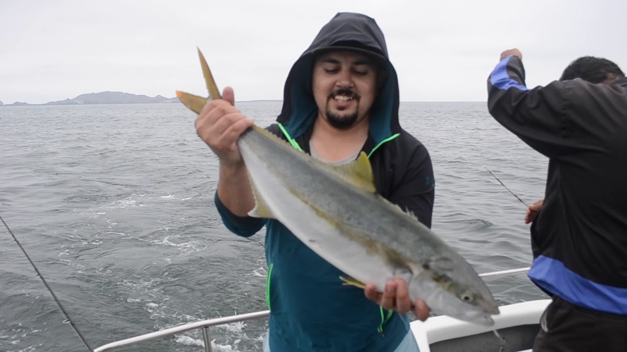 ENSENADA FISHING TRIP 6:23:18 - YouTube