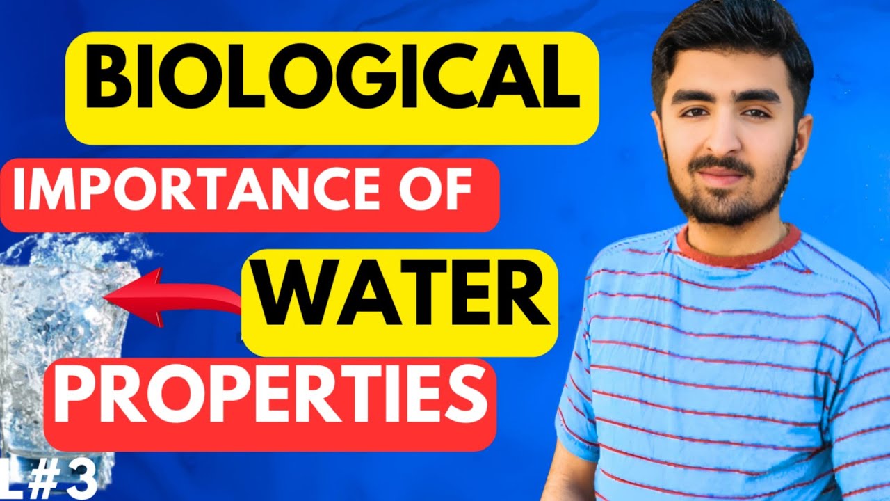 Biological Importance of water| 10 Unique properties|Biomolecules ...