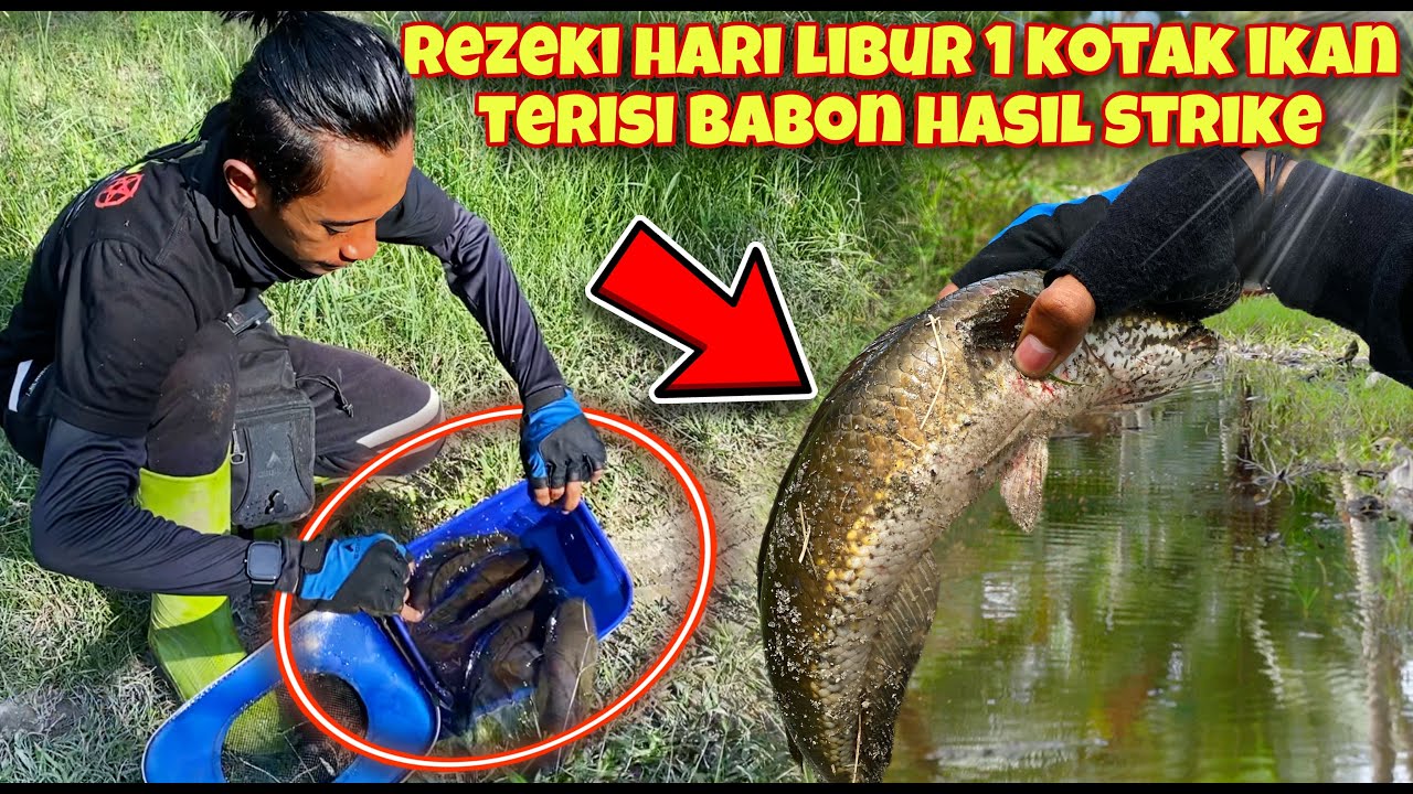 EXBEN LIBUR NGONTEN! REZEKI BENY MENGGILA PANEN STRIKE BABON SPOT ...