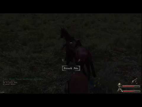 At, Türk'ün kanadıdır.