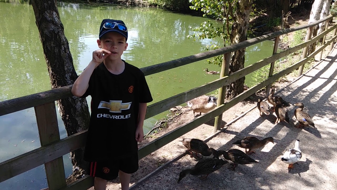 Makaton 🦆 Duck - YouTube