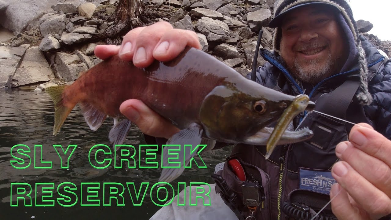 Sly Creek Kokanee and Trout Fishing - YouTube