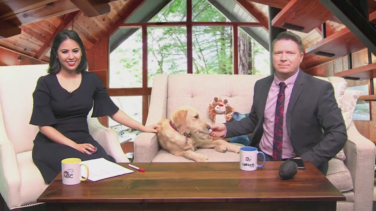 Brian Hegge Interview 6-1-20 - YouTube