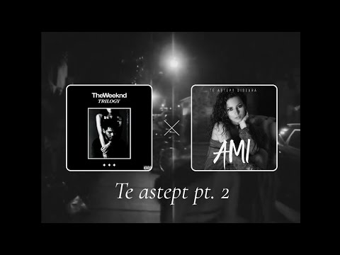 ERIKA - Te astept pt. 2 ( The Weeknd × AMI mashup cover ) 
