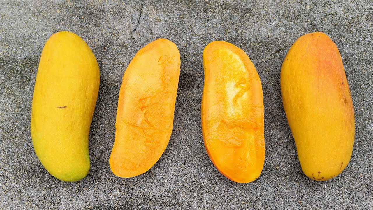 Rainbow / Banana Mango / Mangga Pisang - YouTube