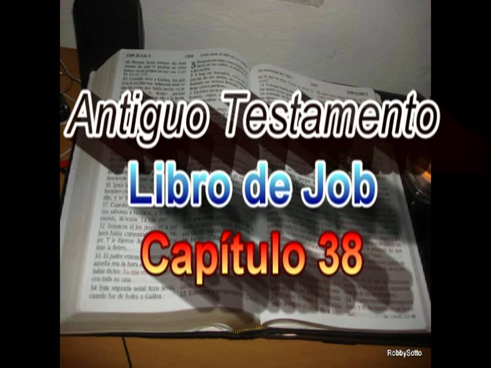 Libro de Job Cap. (38 d 42) -- Antiguo Testamento - YouTube