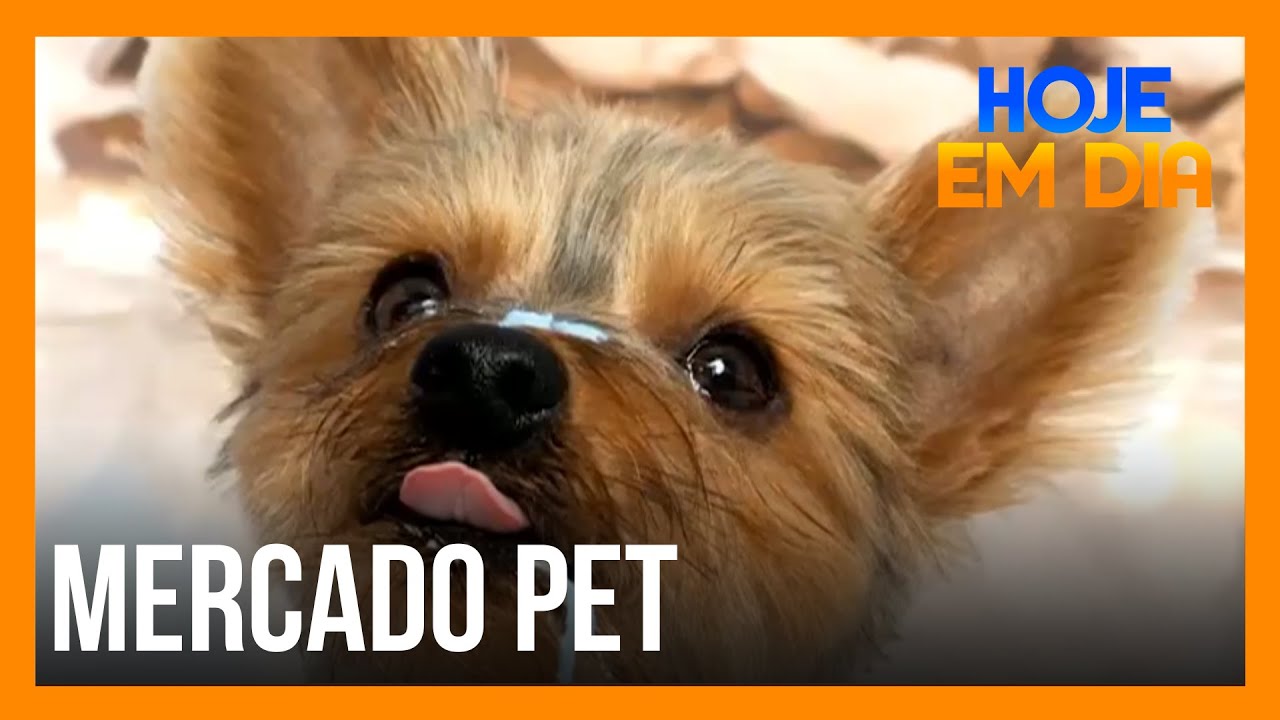 Mercado Pet traz novidades para os consumidores movimentando milhões ...