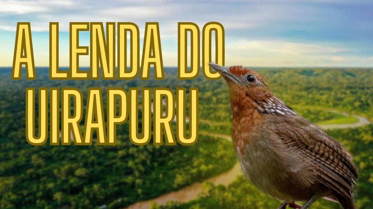 O Misterio da Lenda Sobre o Uirapuru Verdadeiro - YouTube