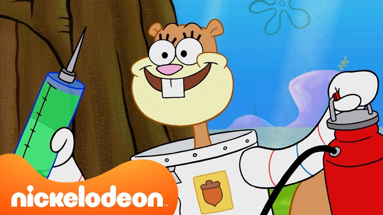 سبونج بوب | سبونج بوب وشجرة ساندي | Nickelodeon Arabia - YouTube