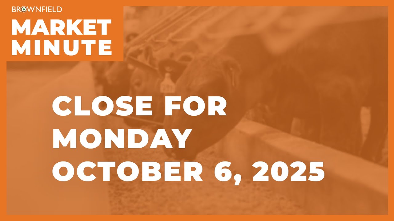 Cattle closed higher Monday | Closing Market Minute - YouTube