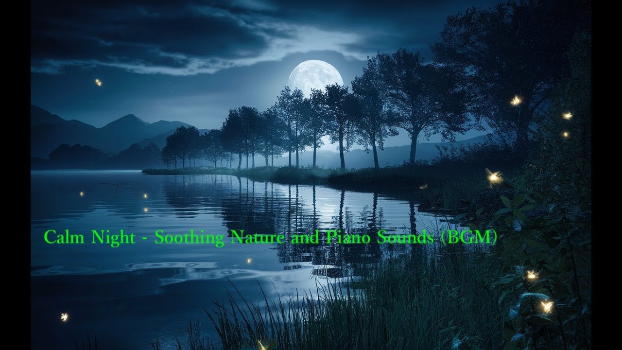 【BGM】 Calm Night - Soothing Nature and Piano Sounds - YouTube