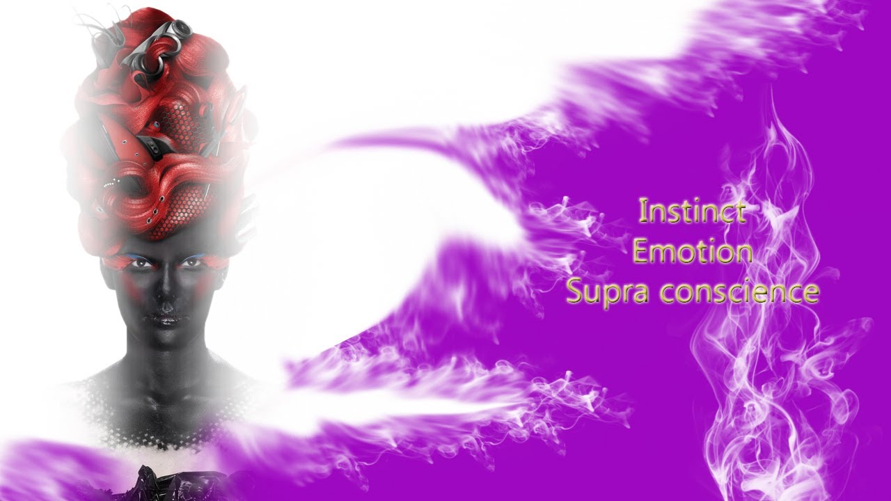Instinct, émotions, supra conscience : quelle différence ? - YouTube