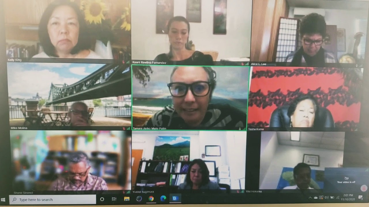 MAUI COUNTY APPROVES A COVID19 RAPID RESPONSE TASK FORCE - YouTube