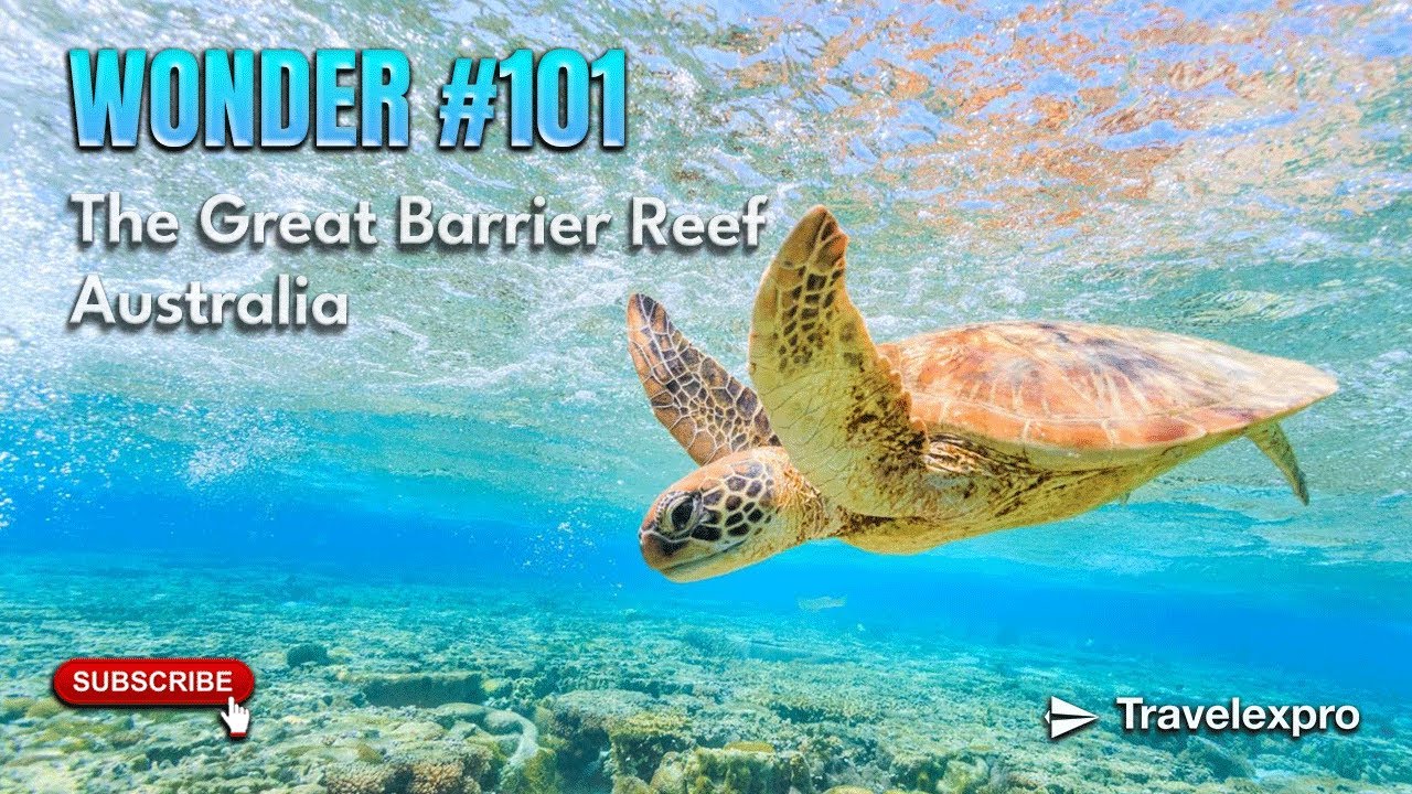 Wonder 101 | Great Barrier Reef: The World’s Largest Coral Wonder! 🌊 ...