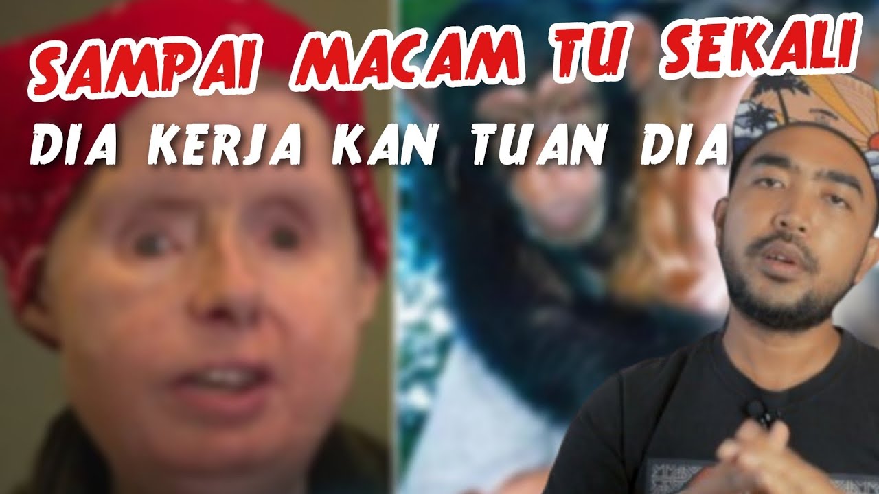 MUKA KENA KOKAK DENGAN CIMPANZI - YouTube