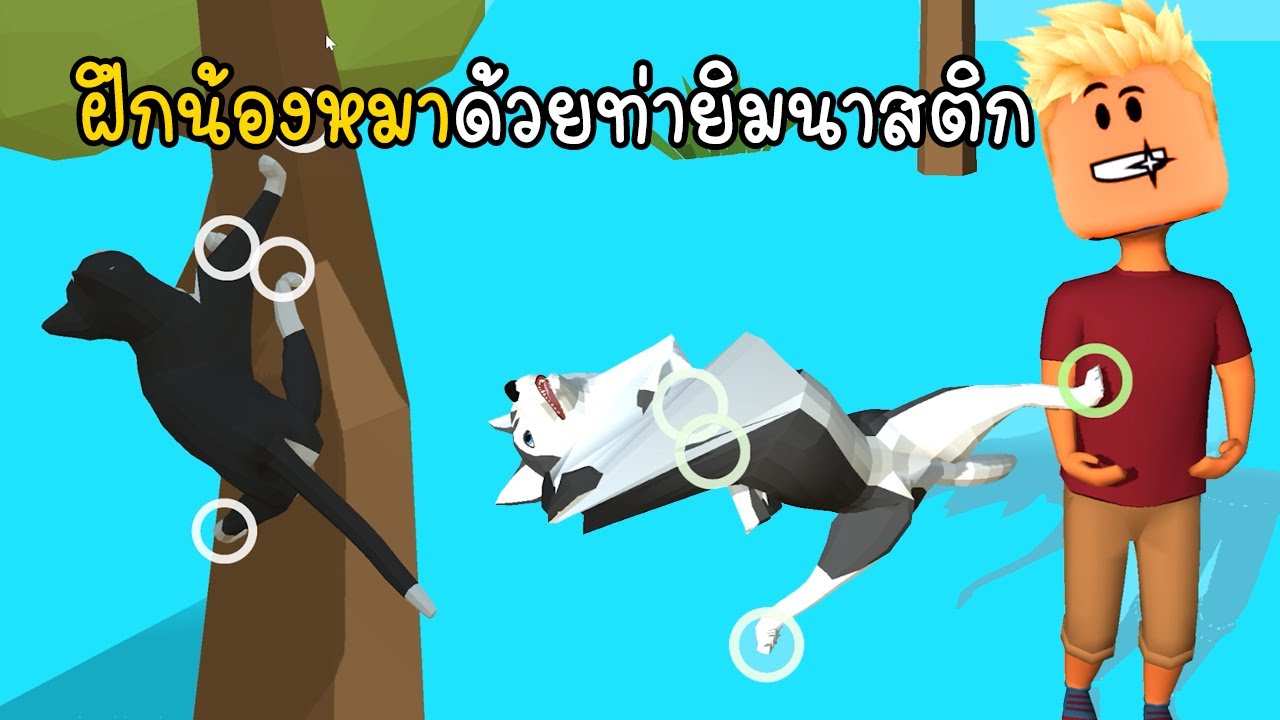 ฝึกน้องหมาด้วยท่ายิมนาสติก - Move Animal 2 [vaha555] - YouTube
