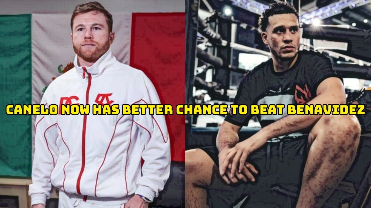 SEAN ZITTEL EXPLAINS WHY CANELO VS DAVID BENAVIDEZ IS A CLOSER FIGHT ...