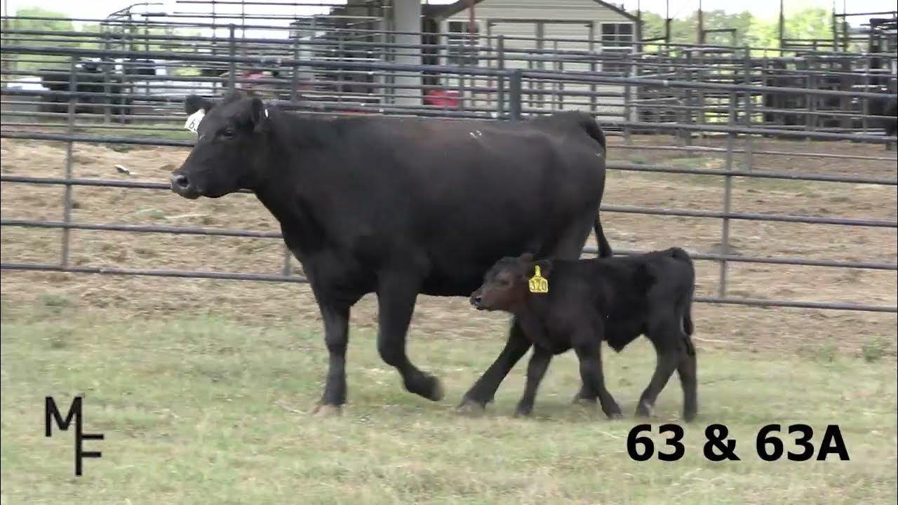 McCloud Farms Lot 63 and 63A - YouTube