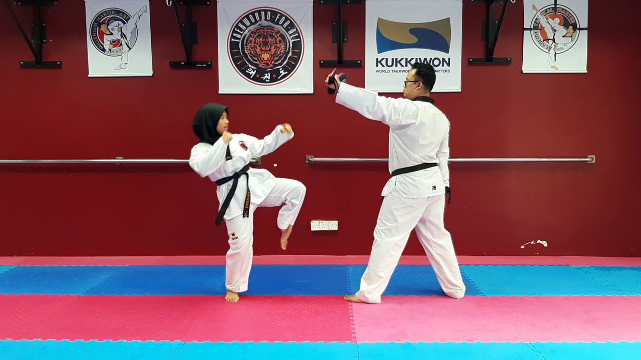 Basic Single Chopping Kick (Axe Kick) - YouTube