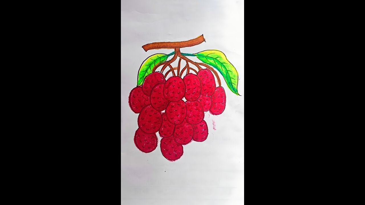 Litchi drawing👌😍 #A_summer_fruit_Litchi_drawing #How to draw Litchi ...