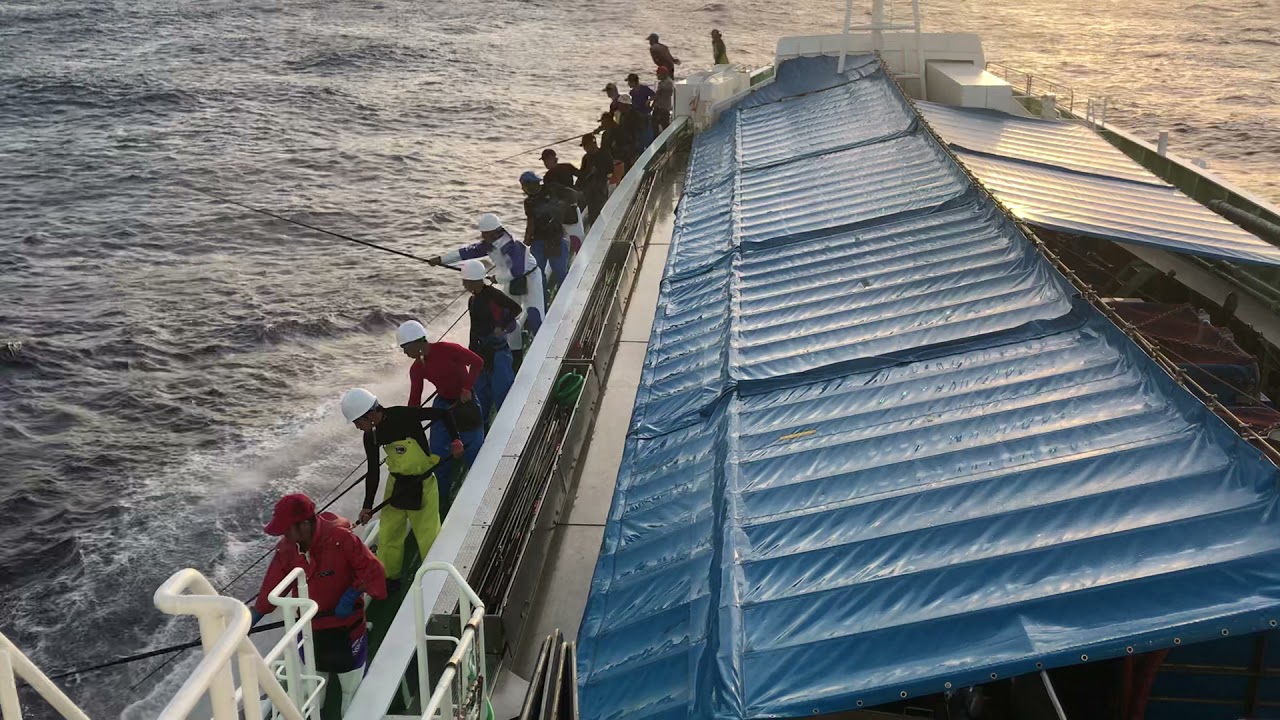 The King Of Fishing Seamen - YouTube