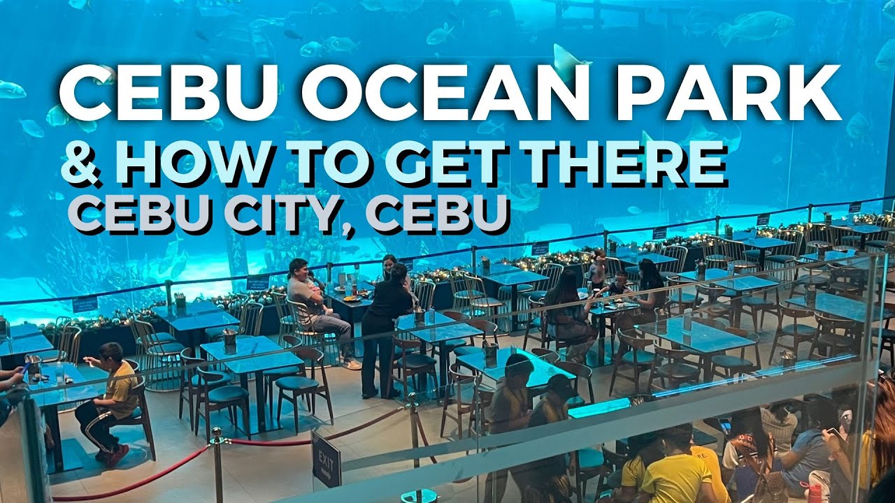 CEBU OCEAN PARK | WALKING TOUR AND HOW TO GET THERE | CEBU PHILIPPINES ...