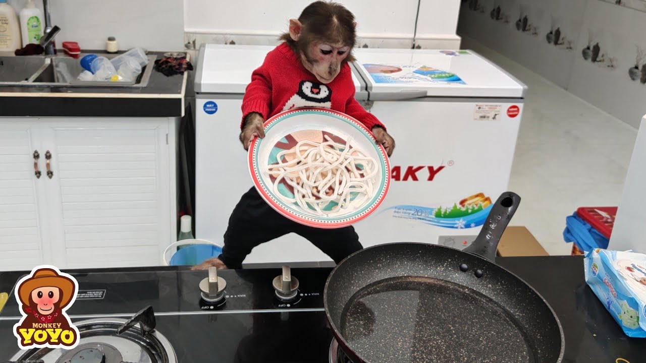 Smart YoYo JR learns to cook Vietnamese food - YouTube