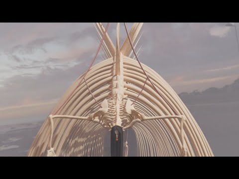 EREN YEAGER// ATTACK ON TITAN// 3d animation on blender - YouTube