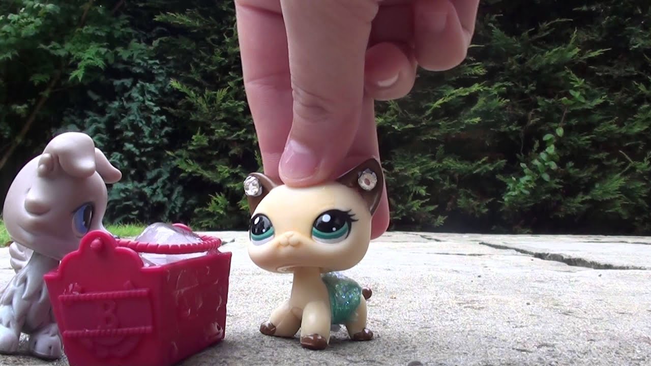 LPS ICE BUCKET CHALLANGE! - YouTube