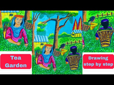 Tea Garden Drawing Easy Step by Step || Oil Pastel Drawing || Evergreen ...