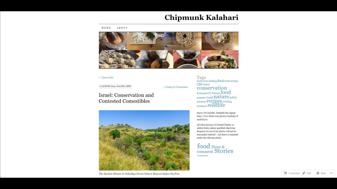 Chipmunk Kalahari: Noa Steiner Interview - YouTube