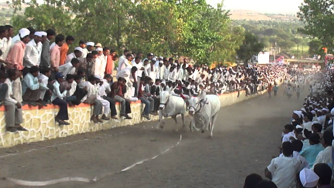 Bailgada Zumbarsheth Vitthal Andhale Karjule hareshwar Final In Sakore ...