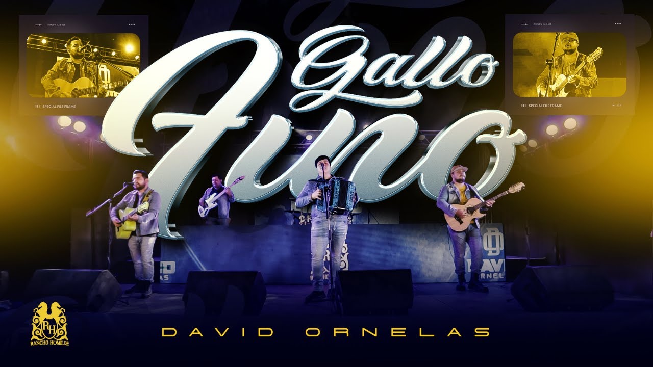 David Ornelas - Gallo Fino [En Vivo] - YouTube Music