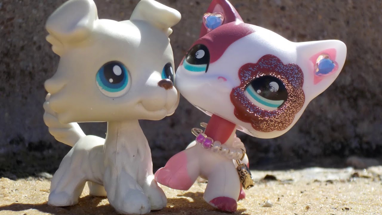 A WORM GOT IN MY PICTURES!? |Lps Picture Adventure - YouTube