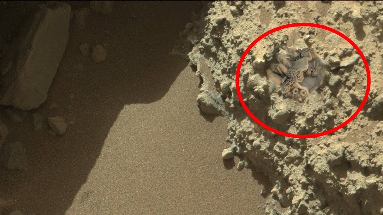 NASA's Newly Released Images Of MARS! Perseverance Rover Capture ...