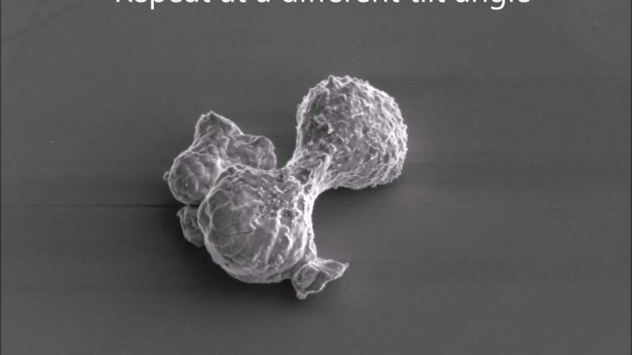 3D SEM using 123DCatch and other freeware - YouTube