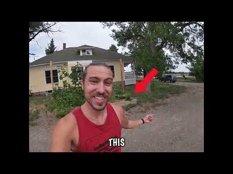 Raised Beds versus Tiny Green Monster Machine.... Which grows more?