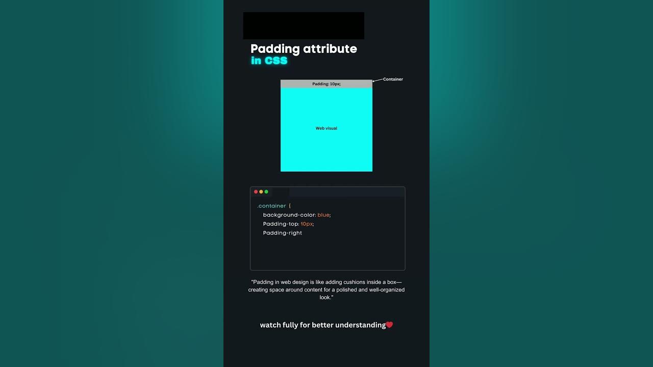 Padding Attribute Coding Developers Html Css Webdevelopment