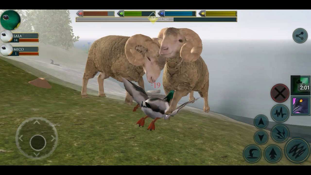 Ultimate bird simulator (parte2). Família de patos🦆 ️🦆🐤 - YouTube
