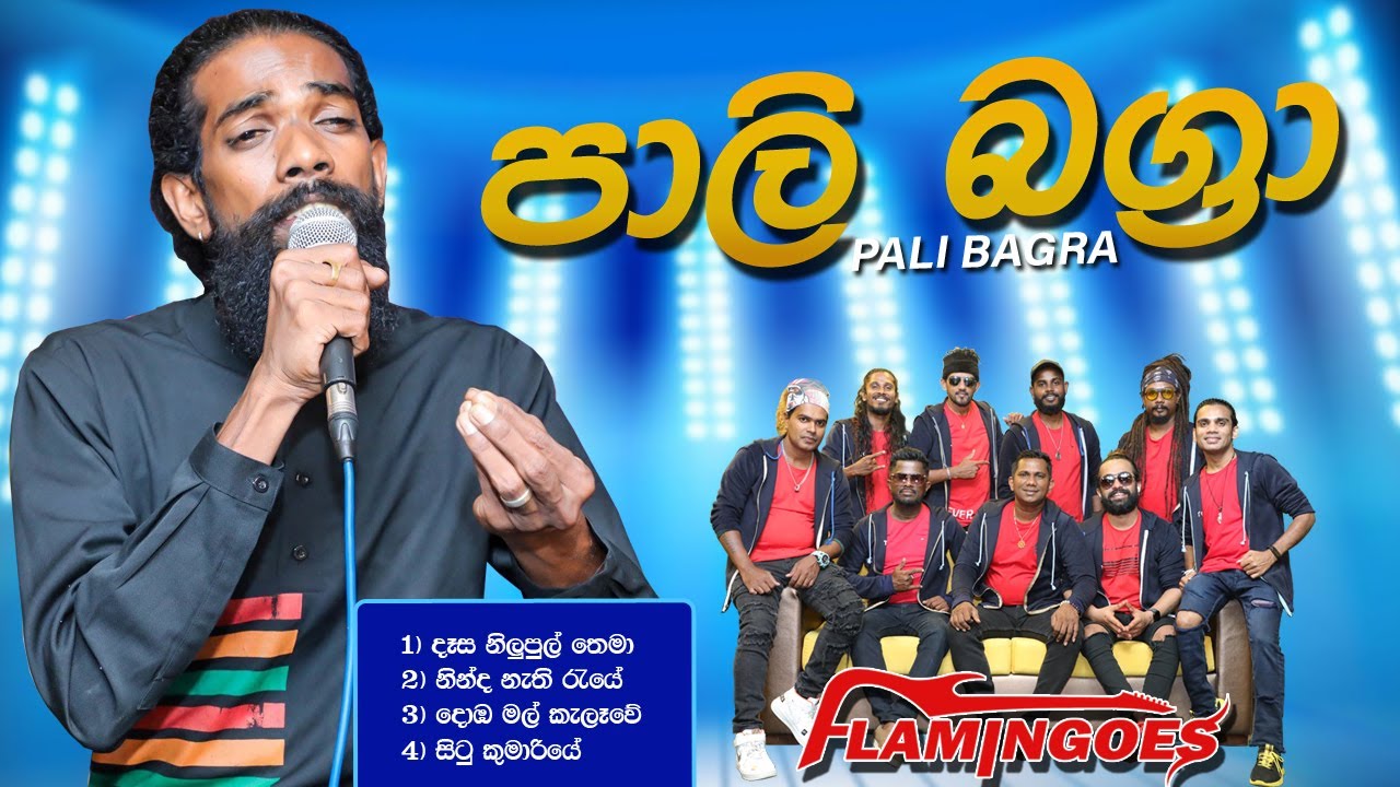 PALI BAGRA (පාලි බග්‍රා) WITH AHUNGALLA FLAMINGOES - YouTube