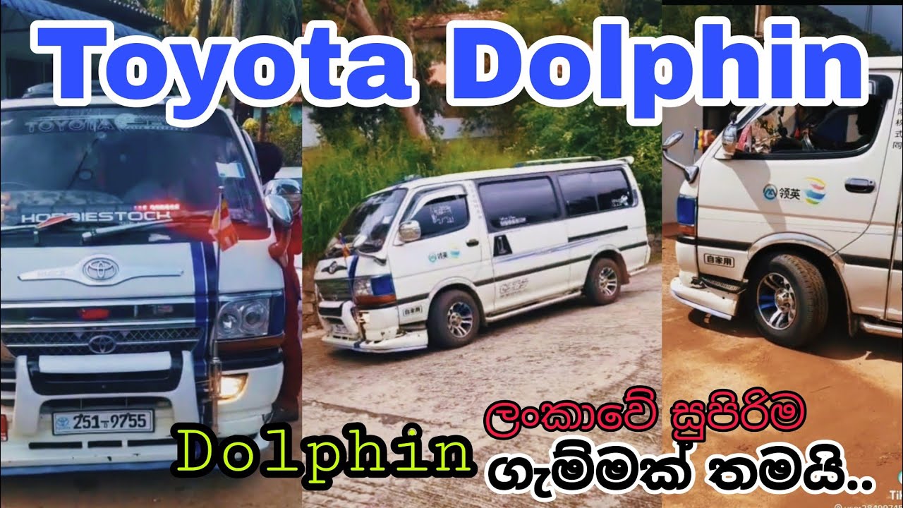 Toyota Dolphin | Best tik tok sri lanka | ගැම්මක් තමයි ඉතින් ️ - YouTube