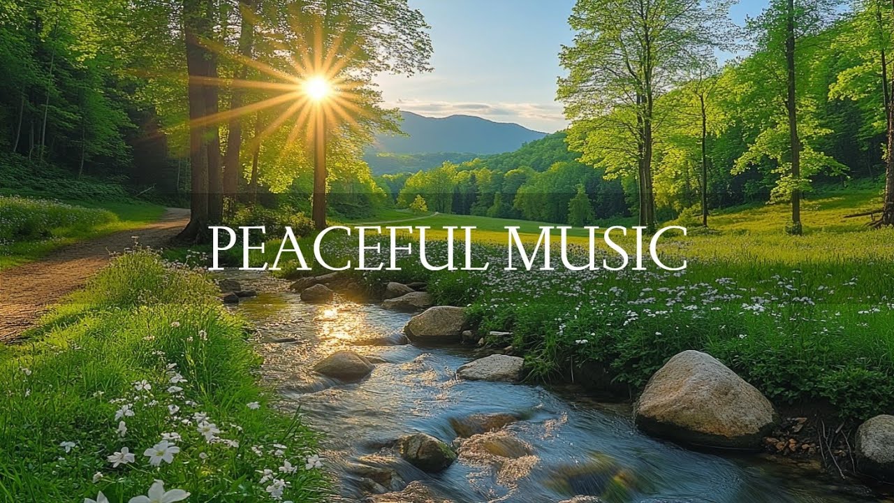 Relaxing Nature Piano Music - Beautiful Forest Ambiance, Smooth Piano ...