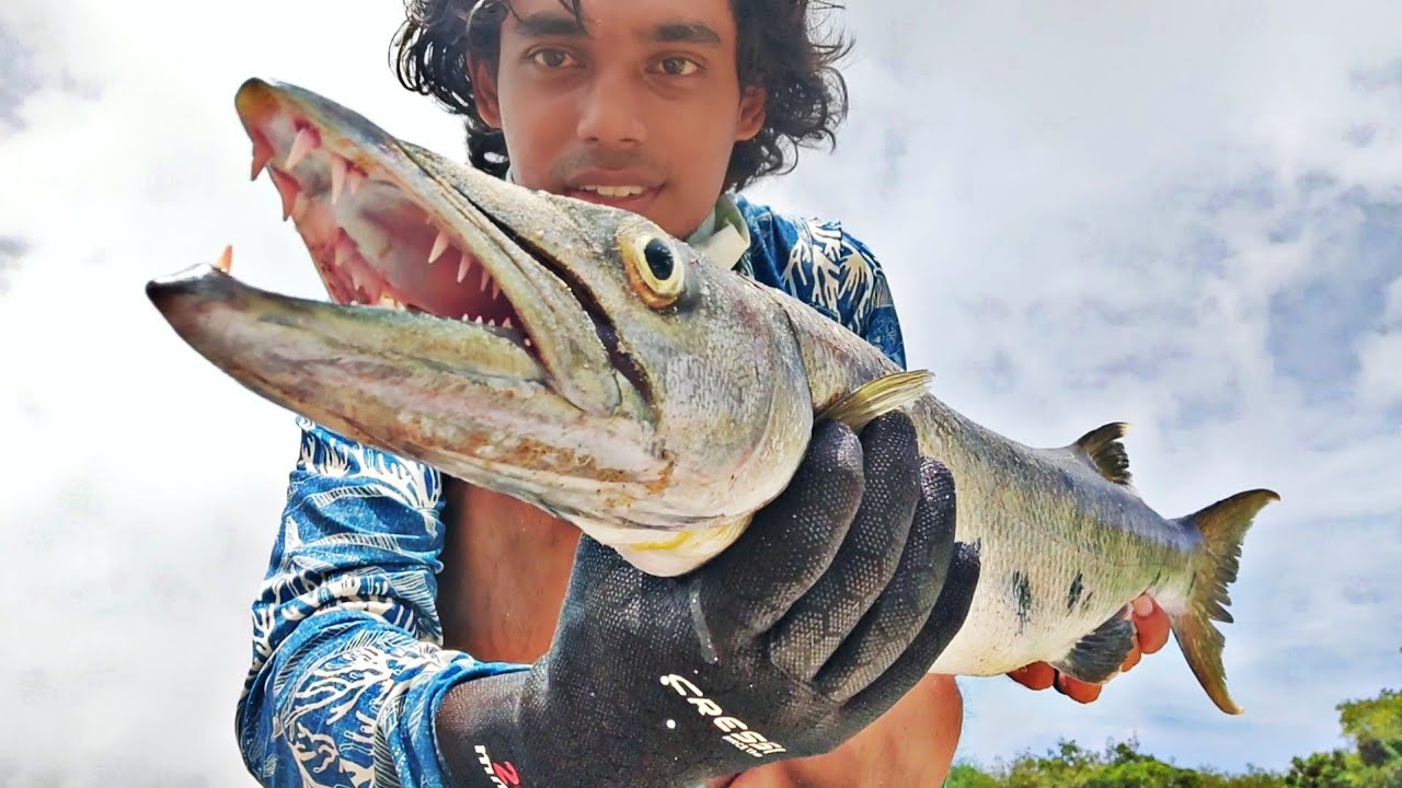 Searching for Fish in Crystal Clear Water | Tobago Fishing - YouTube